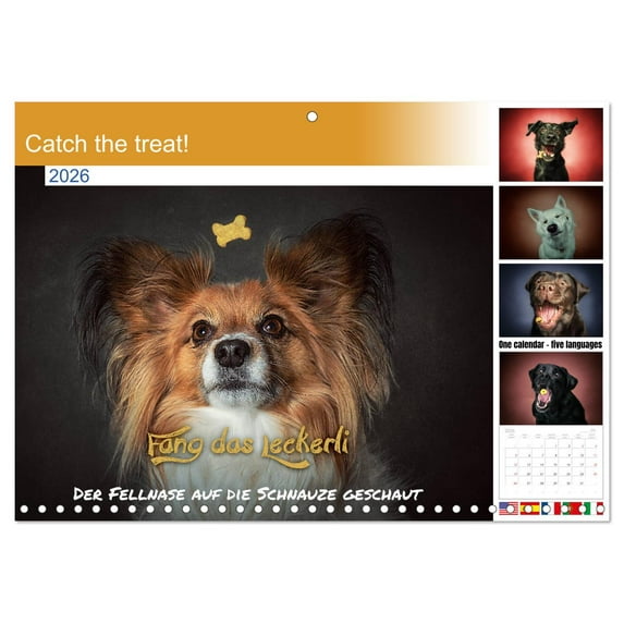 Catch the treat! (Monthly Wall Calendar 2026 16.5 x 23.4 (open ...
