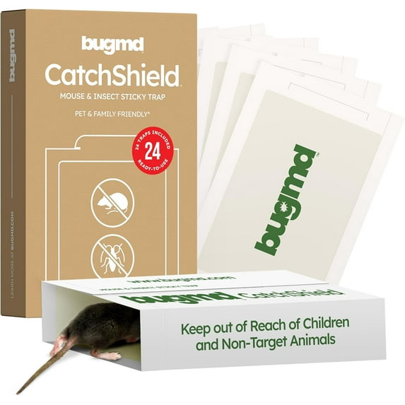 CatchShield Glue & Sticky Traps for Mice, Rats & Insects – Non-Toxic ...