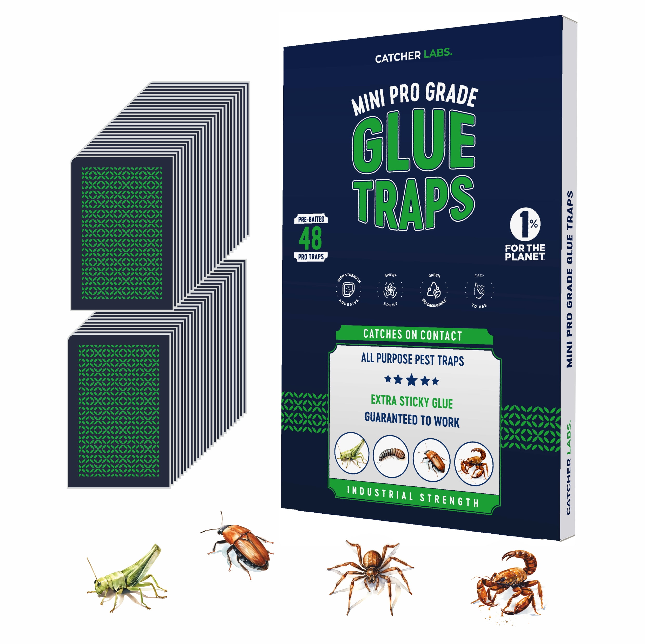 Catcher Labs Mini Glue Traps, Sticky Adhesive for Bugs, Spiders ...