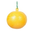 Catcher Outdoor Gnat Spray The Critter Catcher Moth Light Misquote ... Catcher Outdoor Gnat Spray The Critter Catcher Moth Light Misquote ...