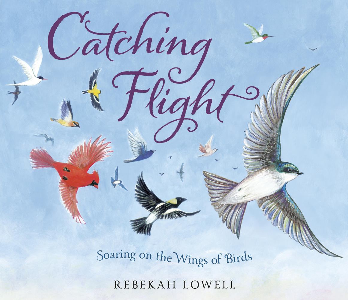 Pre-Owned Catching Flight: Soaring on the Wings of Birds (Hardcover ...