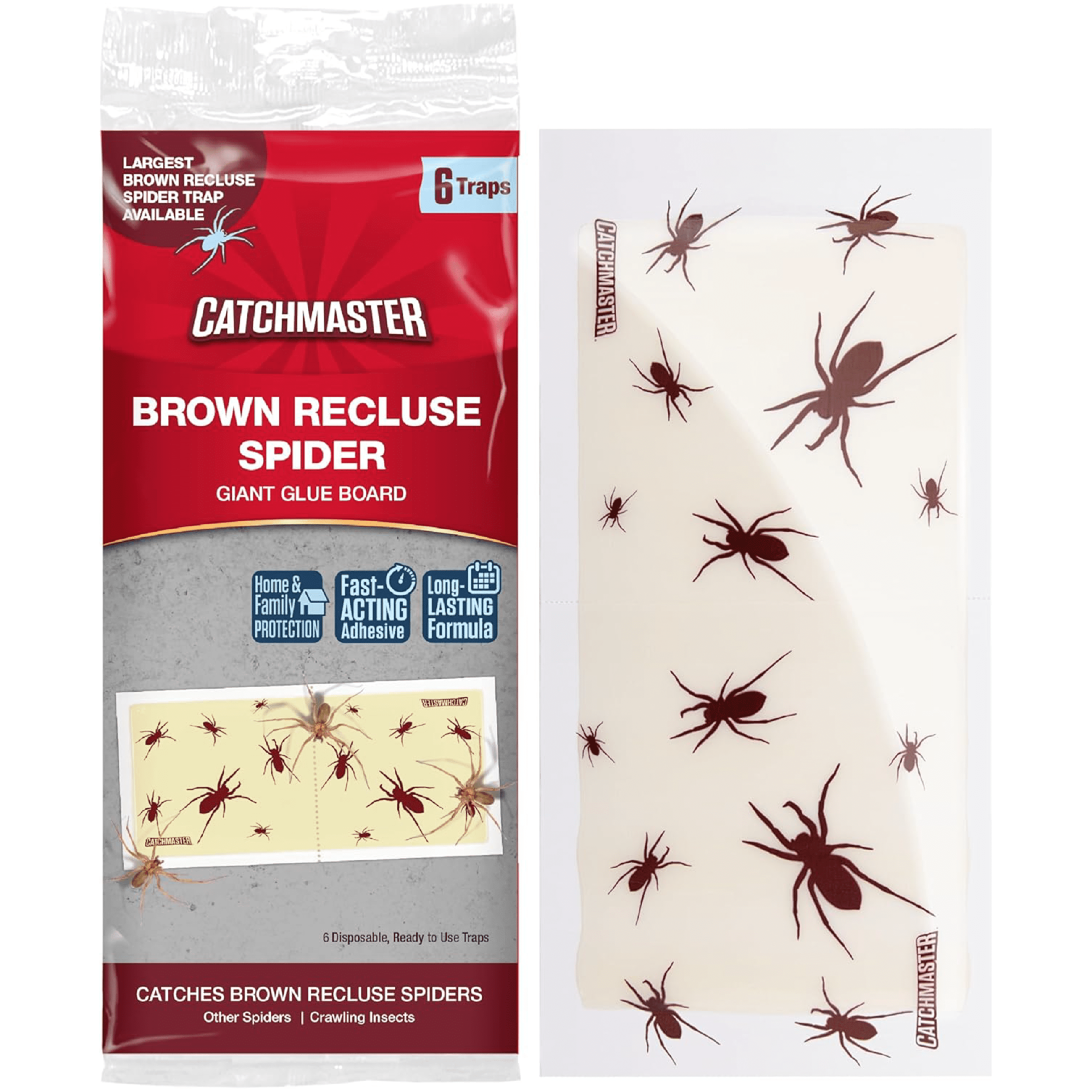 Catchmaster Brown Recluse Spider Giant Glue Boards 6Pk, Spider Killer ...