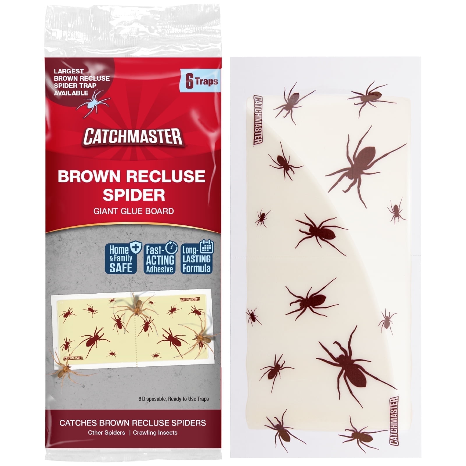 Catchmaster Spider Glue Board Traps for Brown Recluse, Scorpions ...