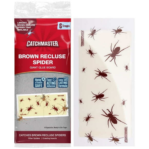 Spider in Pest Control - Walmart.com