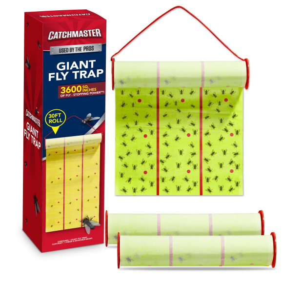 Insect Glue Traps