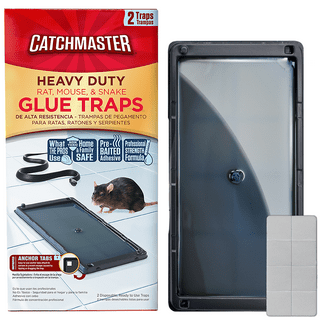 What stores sell mouse traps store