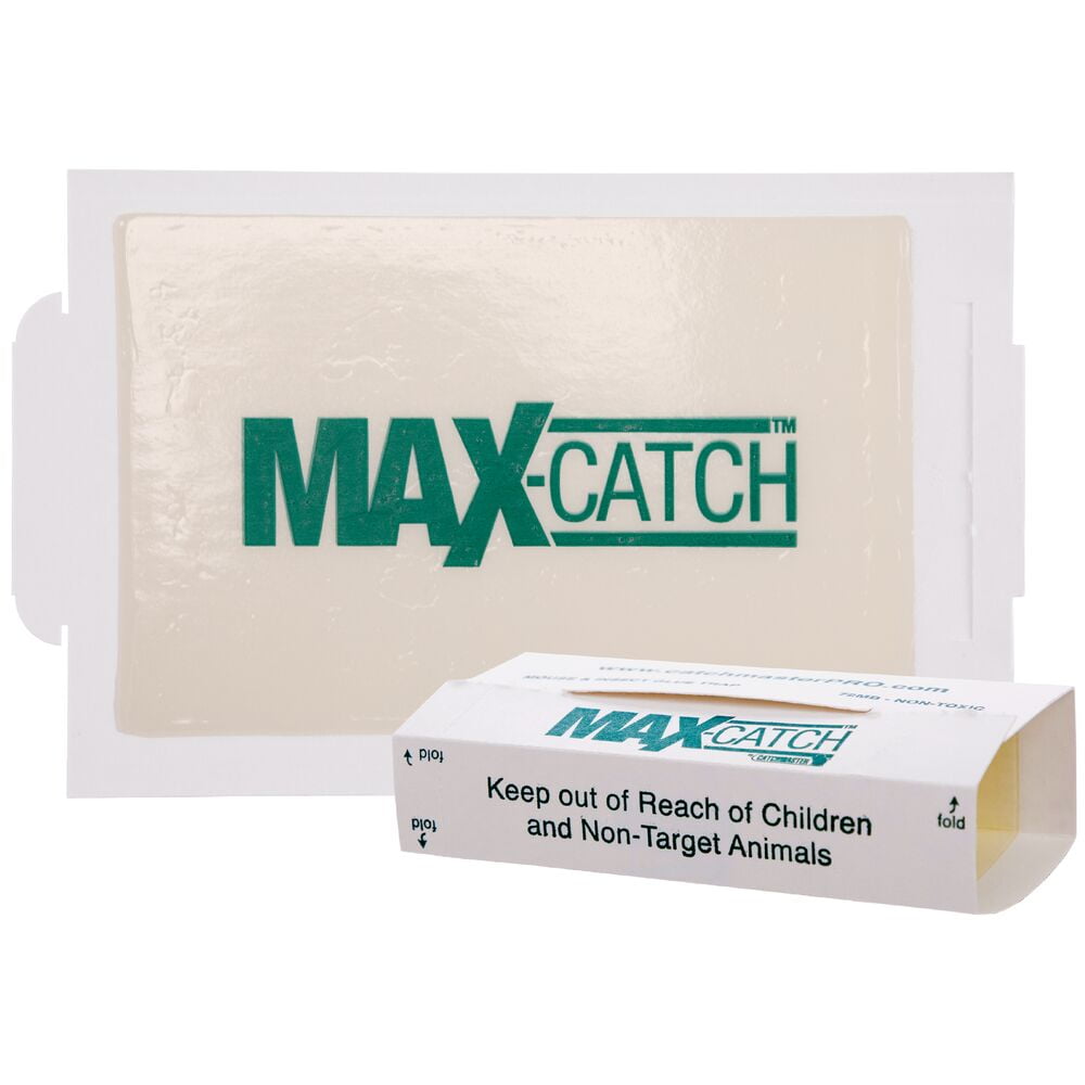 Indoor Efficient Cockroach Trap Sticky for Catch Master Mice Glue Mud ... Indoor Efficient Cockroach Trap Sticky for Catch Master Mice Glue Mud ...