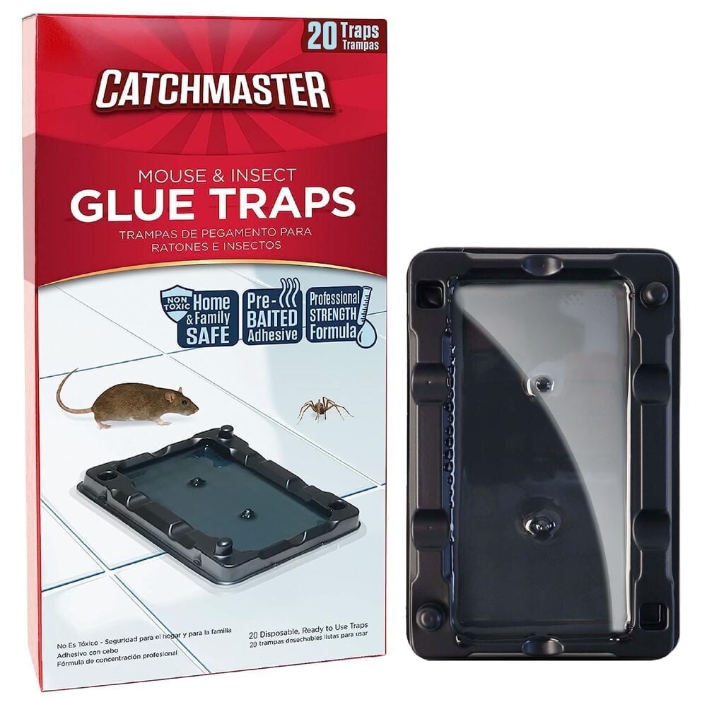 Catchmaster Home Pest Catch Board - Mouse & Insect Glue Traps, Non ...