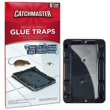 Max-Catch Mouse & Insect Glue Trap 72pk, Mouse Traps Indoor for Home ...