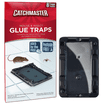 Catchmaster Heavy Duty Solid Glue Traps 2 Count Indoor Rodent and ...