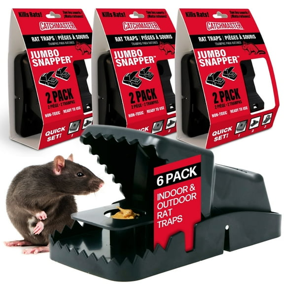 Mouse Glue Traps