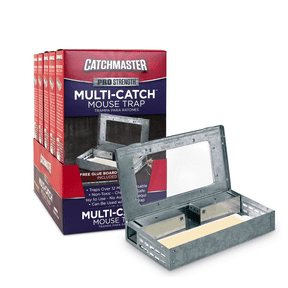 Household Snap Traps for Rodent Control in Various Sizes and Styles