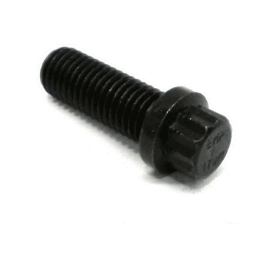 12 Point Bolts