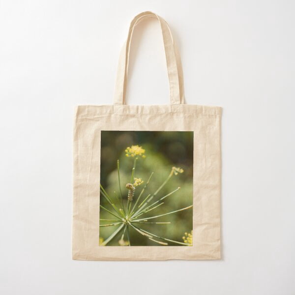 Caterpillar, Flower, Fennel, Fennel Flowers, Garden, Garden Scenes ...