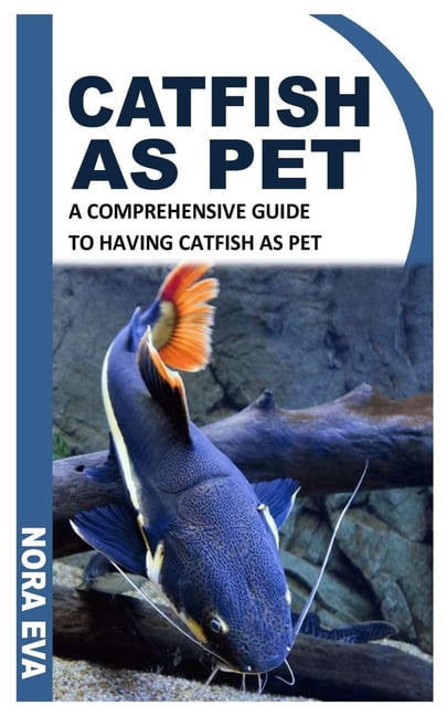 Catfish as Pet: A Comprehensive Guide to Having Catfish as Pet ...