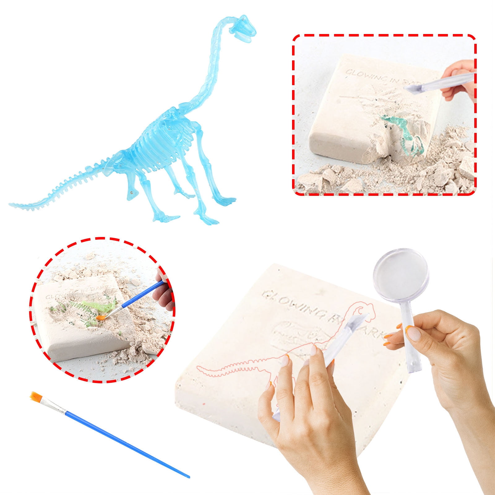 Catgeta Dinosaur Fossil Digging Kit for Kids,Dinosaur Excavation Dig ...