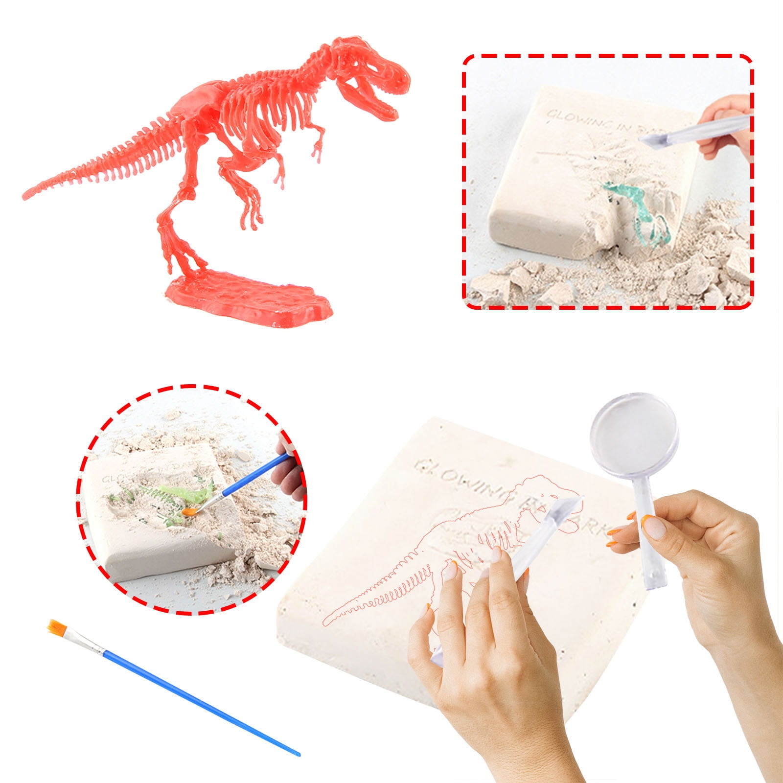 Catgeta Dinosaur Fossil Digging Kit for Kids,Dinosaur Excavation Dig ...