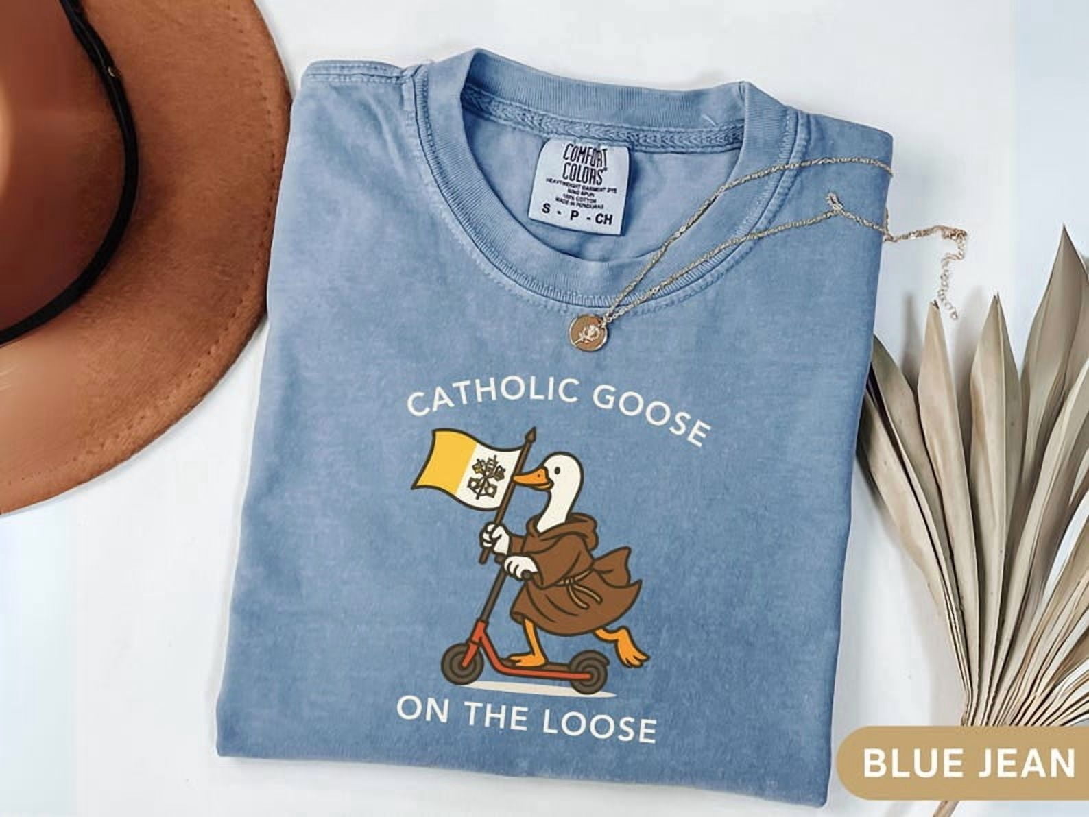 Catholic Shirt Funny, Religious Silly Goose Shirt, Franciscan Comfort ...
