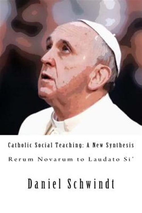 Catholic Social Teaching: A New Synthesis (Rerum Novarum to Laudato Si ...