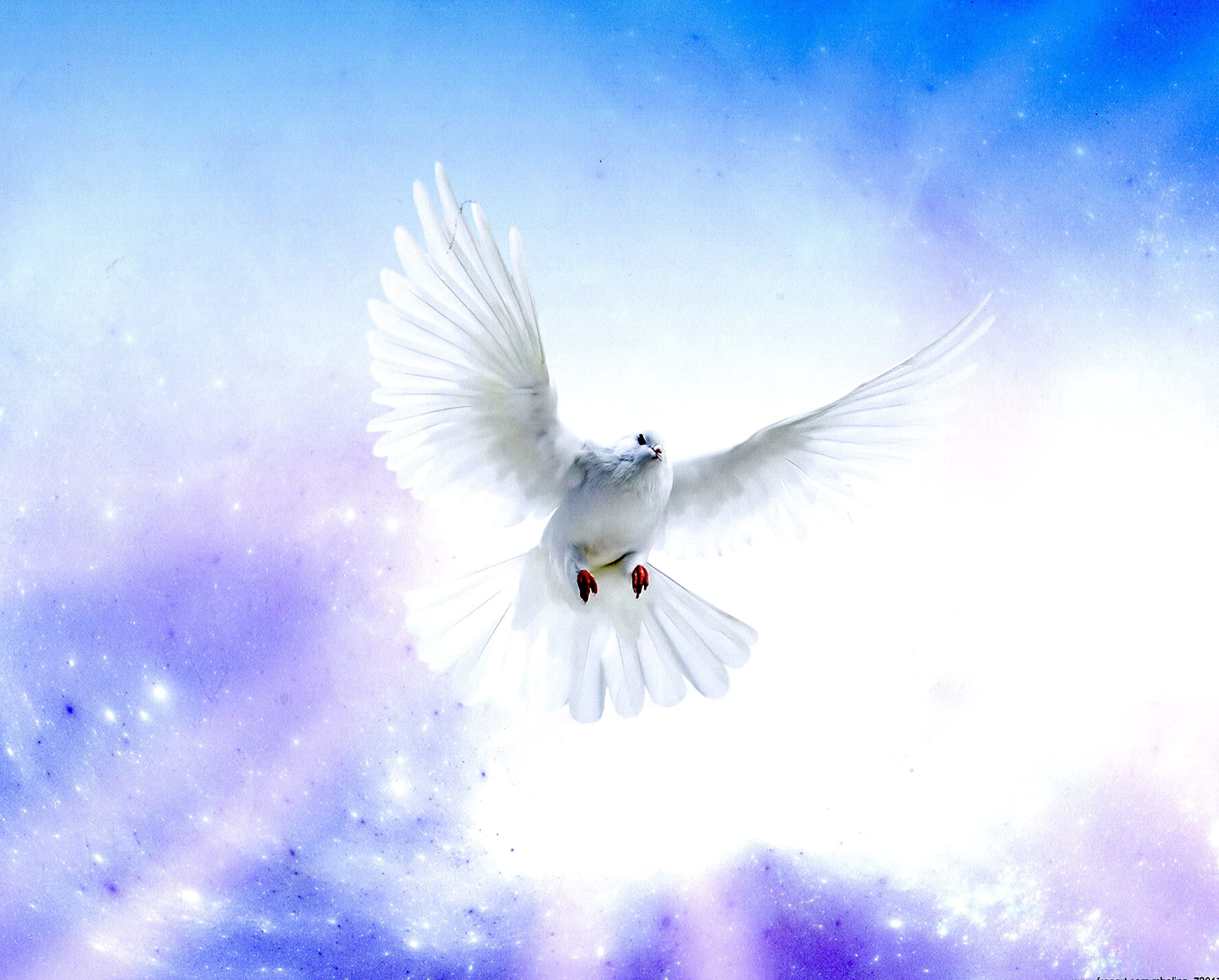 Catholic print picture - Holy Spirit Dove R - 8" x 10" ready to be ...