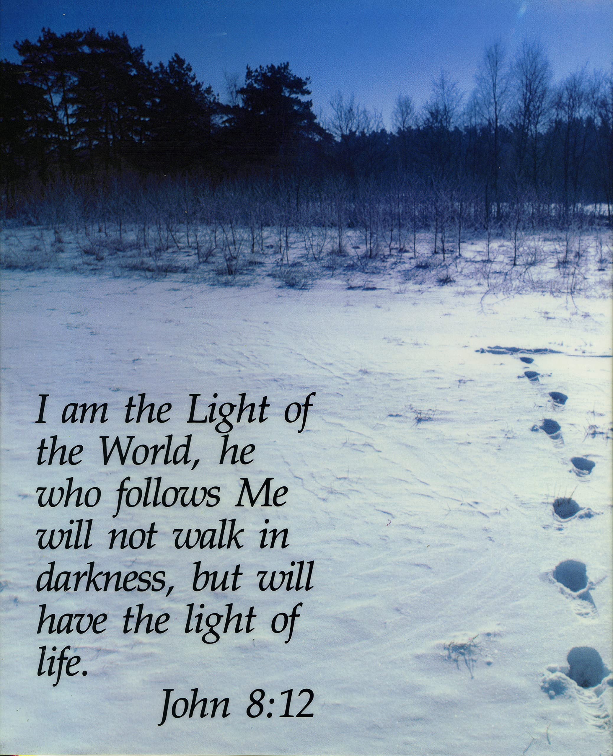 Catholic print picture - Snow Forest - 8" x 10" ready to be framed ...