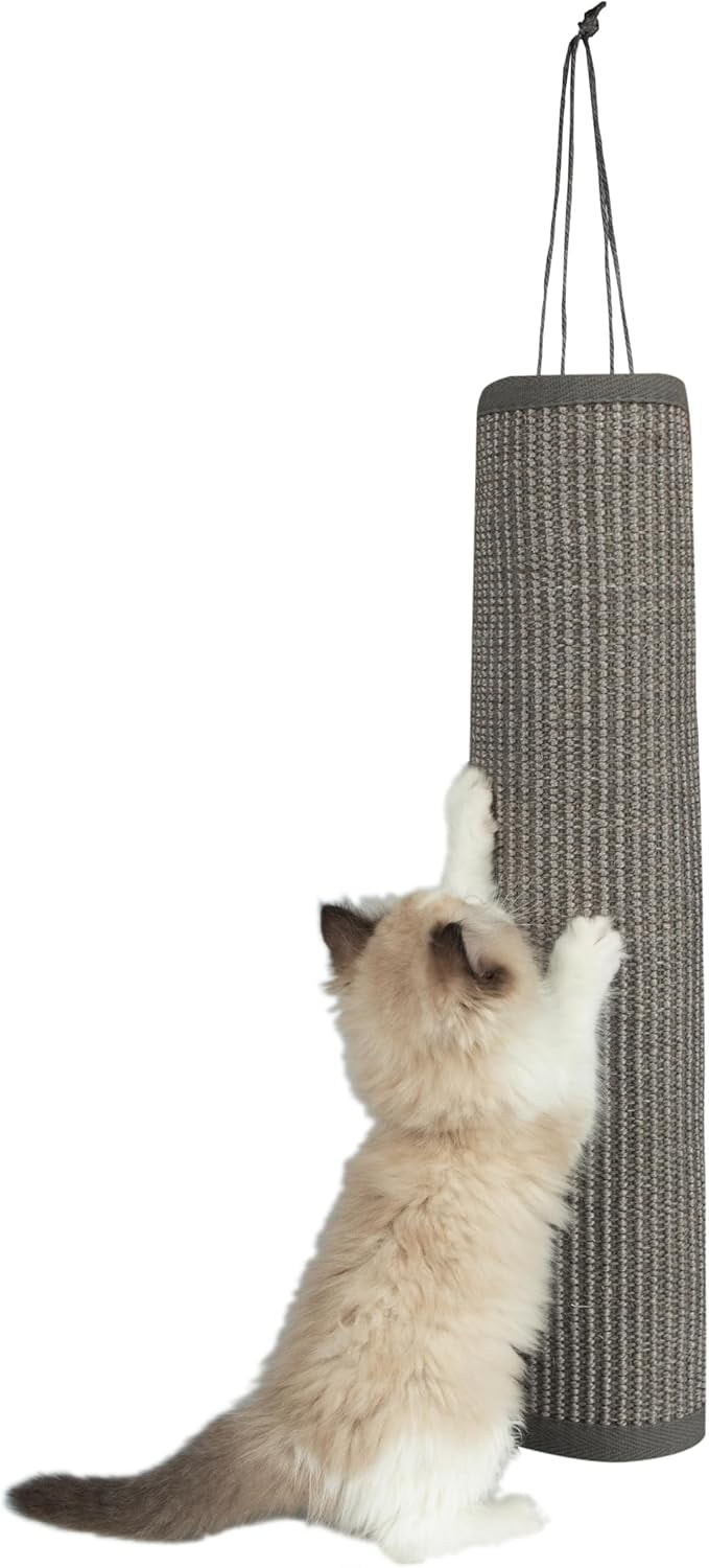 Catify Sloped Sisal Cat Scratchers for Indoor Cats, Climbing Ramp Fun ...