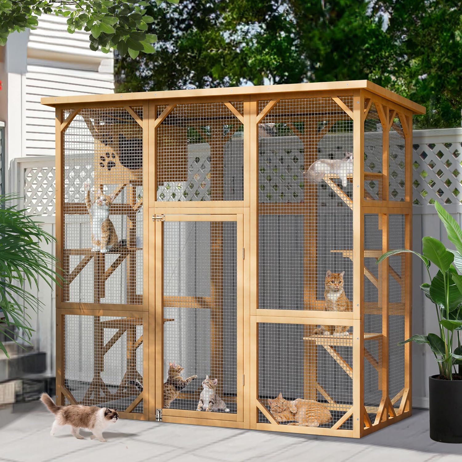 Catio Outdoor Cat Enclosures Walk in, Cat Kennel Kitten Wooden Cage ...