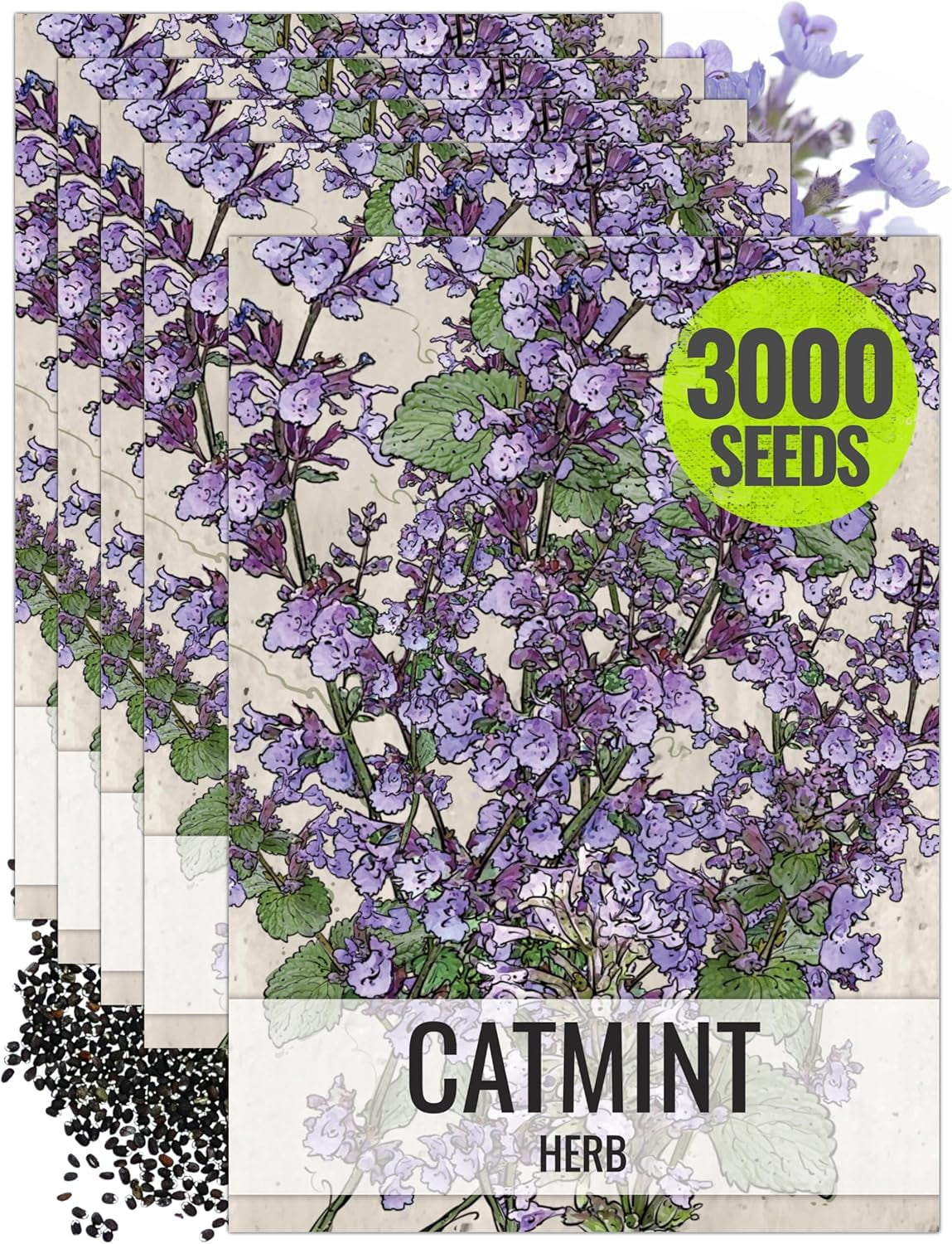 , Catmint Seeds for Cats - 600 Heirloom Seeds for Planting Nepeta ...
