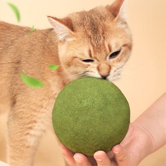Catnip Ball Cat Toy, 4 Inch Jumbo Durable Chew Ball For Cats, Self ...