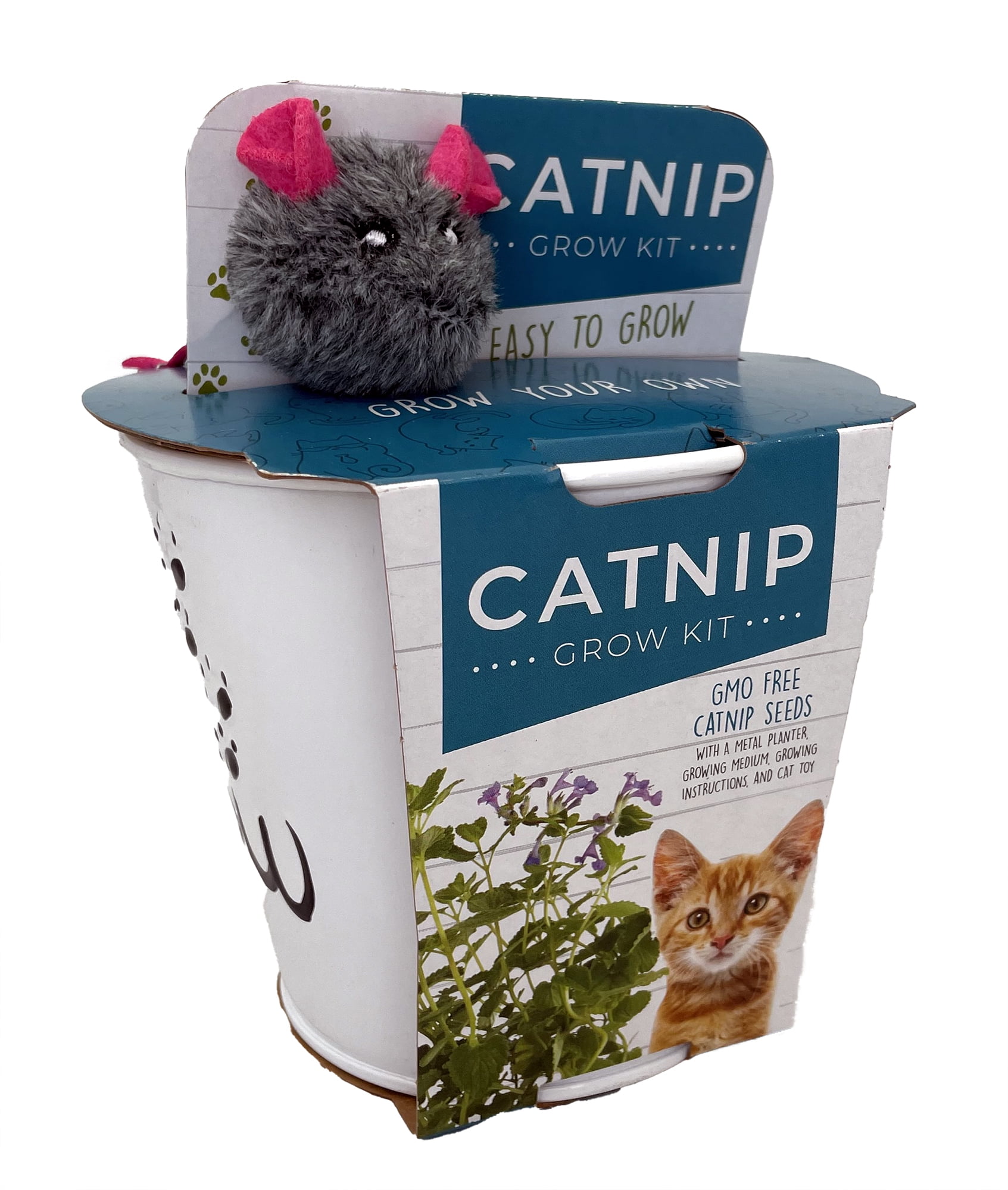 Catnip Grow Kit - Metal Planter, Growing Medium, GMO-Free Seeds and ...