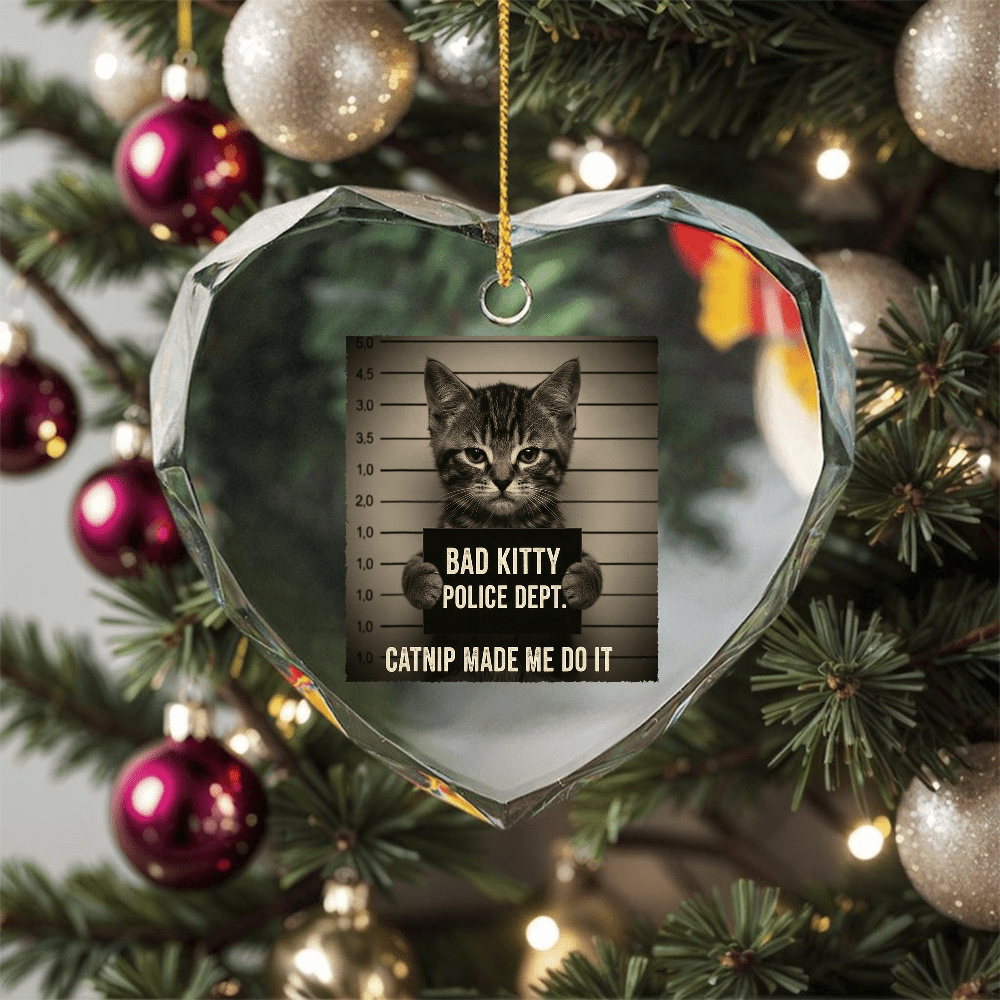 Catnip Made Me Do It Funny Grumpy Kitten Mugshot Cat Lovers Ornament ...