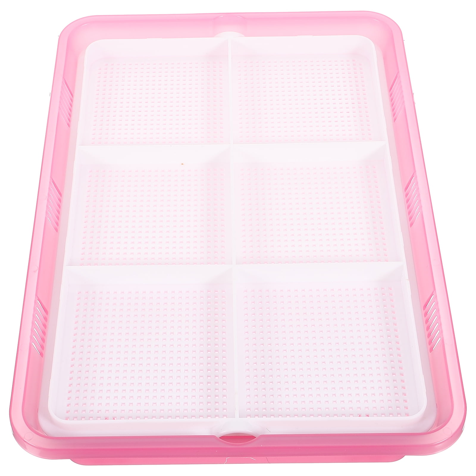 Catnip Planting Box Catnip Cultivation Planter Cat Grass Planting ...