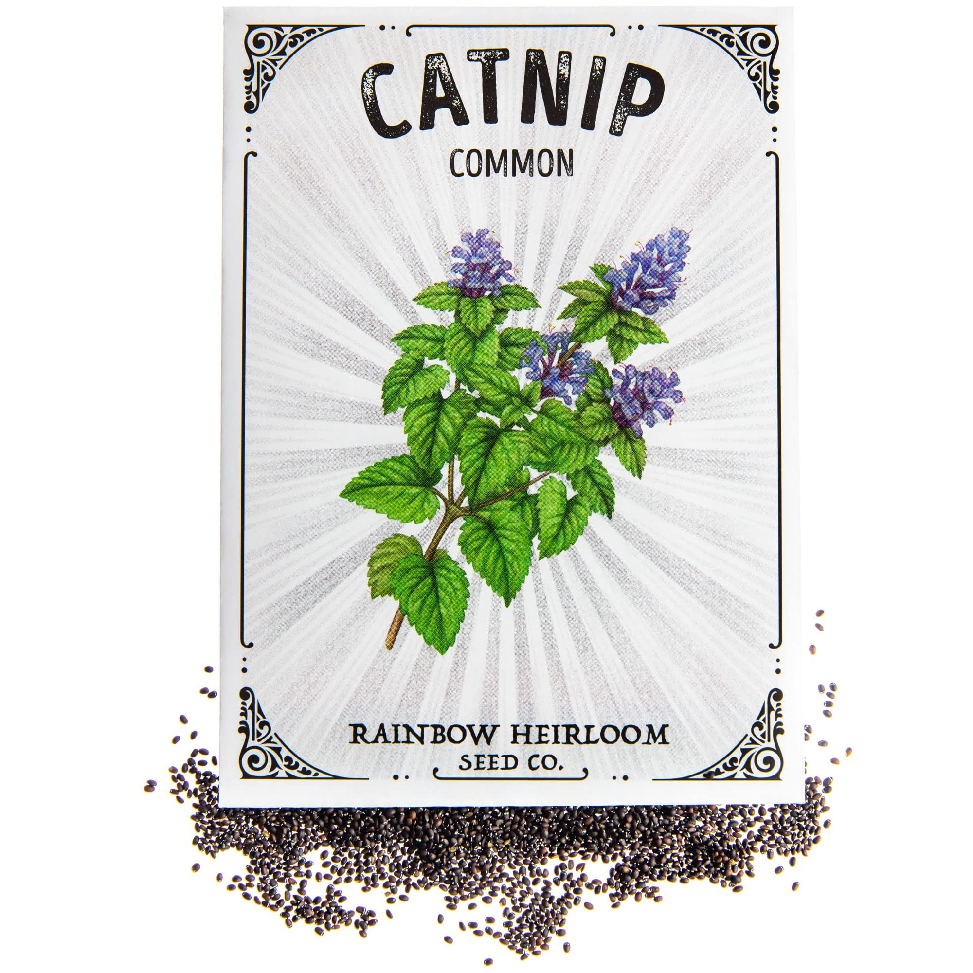 Catnip Seeds for Planting | Common Variety (1.5g Packet - Approx 4,500 ...