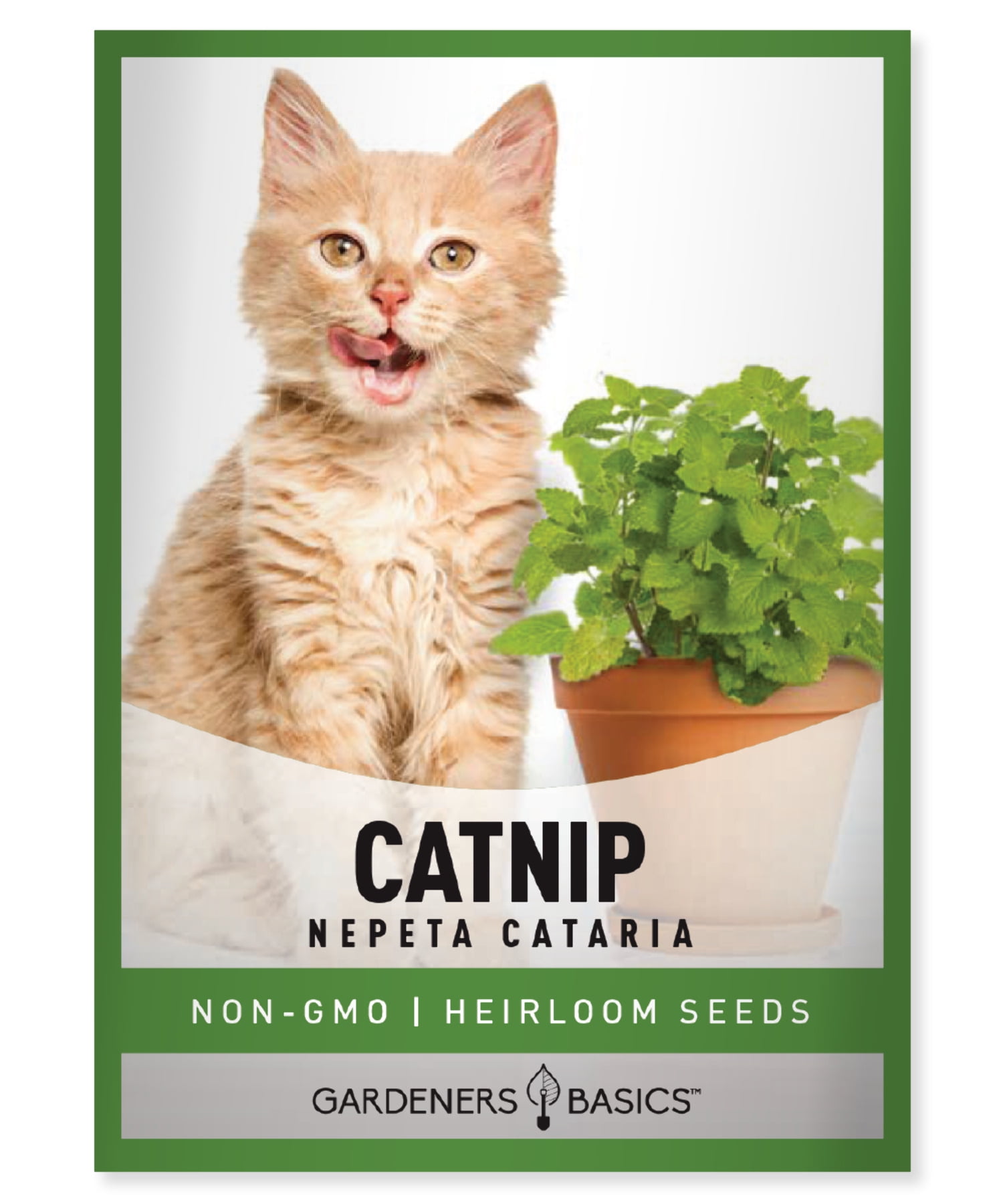 Gardeners Basics Catnip Seeds, Heirloom Catnip Seeds for Cats and Gardens, 300mg Packet ...
