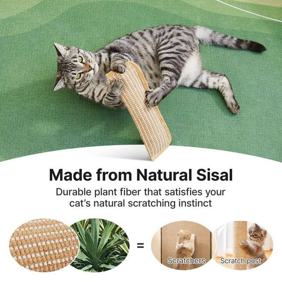 Catnip Toy for Cats, Interactive Chewing and Scratching Pad, Kicker Toy ...
