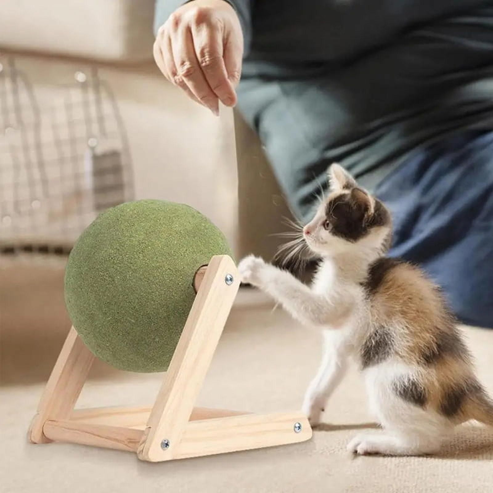 Catnip Toys for Cats Multifunctional Interactive Catnip Toy Cat Floor ...