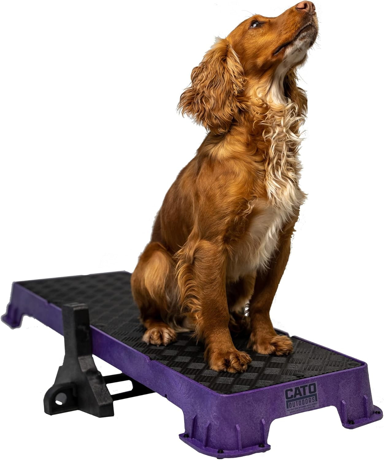 Cato Board XL - Dog Platform (Purple, with Tilt Stand) - Walmart.com