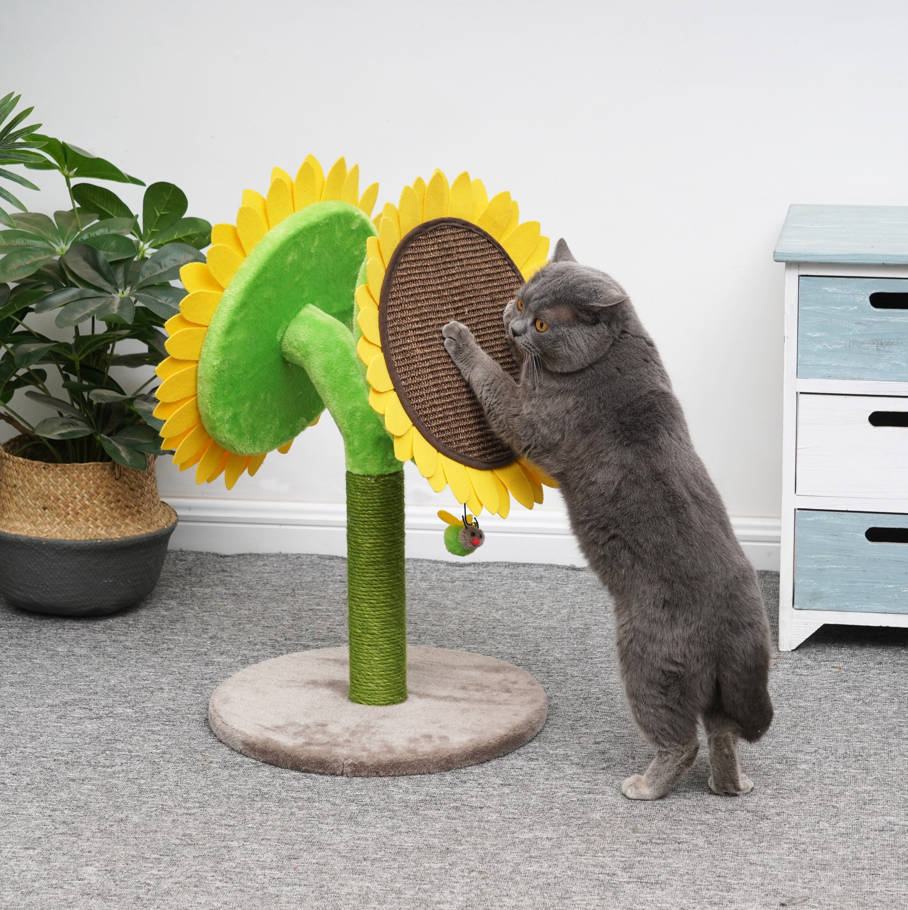 Catry 26" Double Sunflower Cat Scratcher Natural Flower Scratcher Small ...