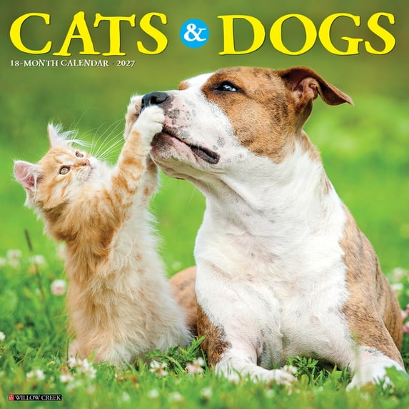 Cats & Dogs 2027 12 X 12 Wall Calendar, (Paperback) - Walmart.com