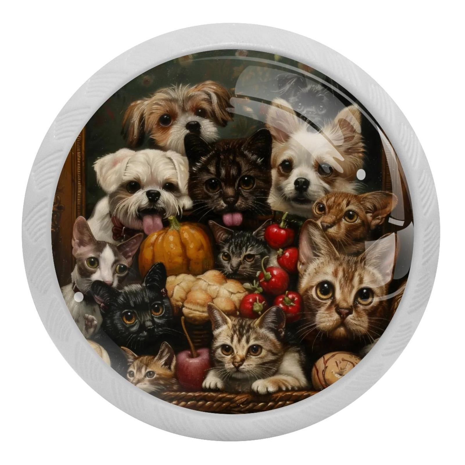 Cats Dogs Eat Fruits Together Crystal Glass Drawer Knob Pull Ergonomic ...