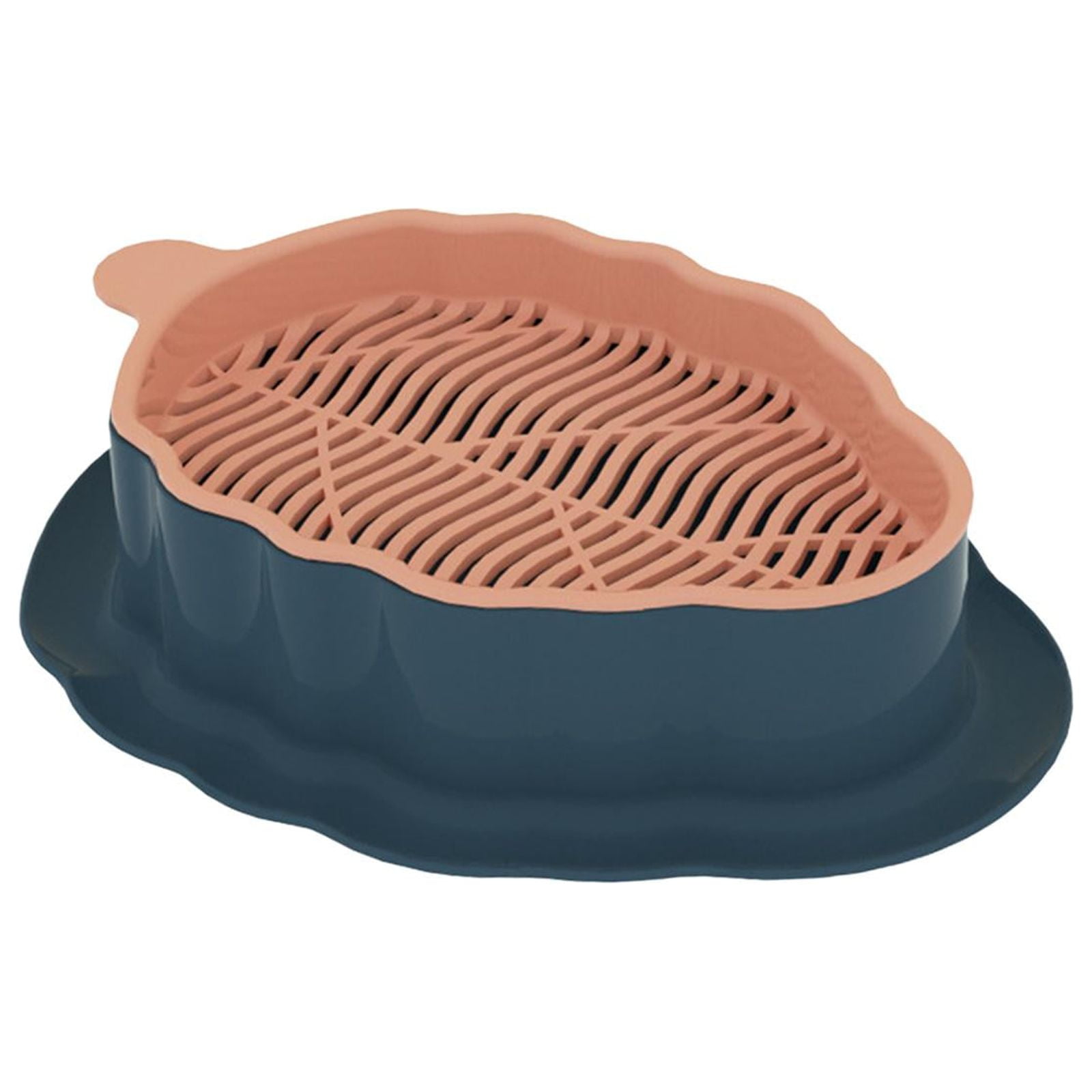 Cats Grass Tray Sprouting Container for Planting Office Greenhouse Blue ...