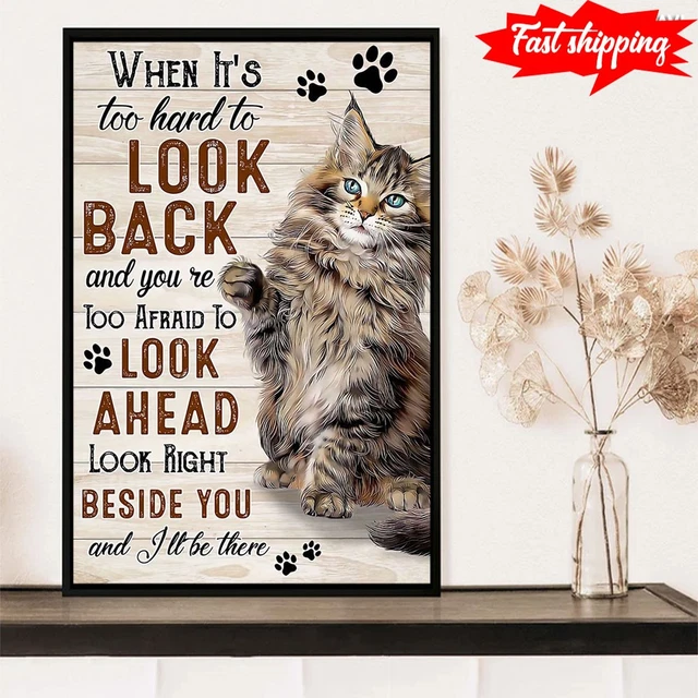 Cats When It'S Too Hard To Look Back And You'Re Too Afraid To Look NO ...