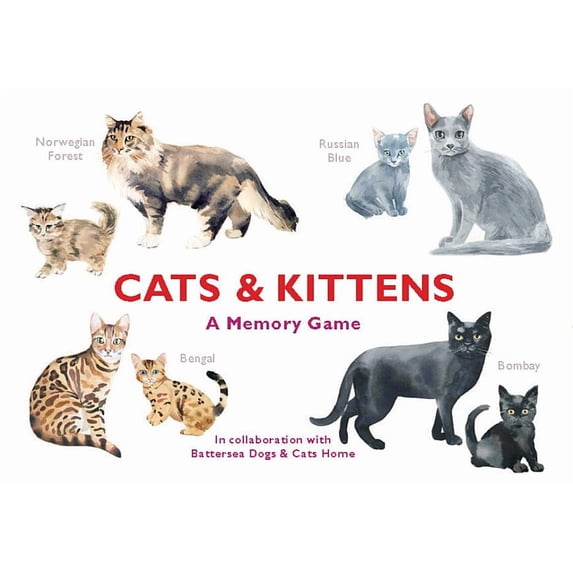 Cats & Kittens : A Memory Game (Game) - Walmart.com