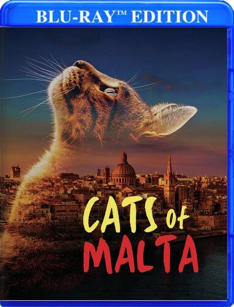 Cats Of Malta (Blu-ray), Nexus Production, Documentary - Walmart.com