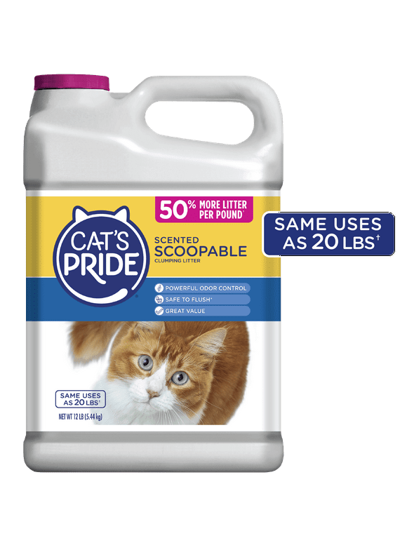 Cats in Pets - Walmart.com