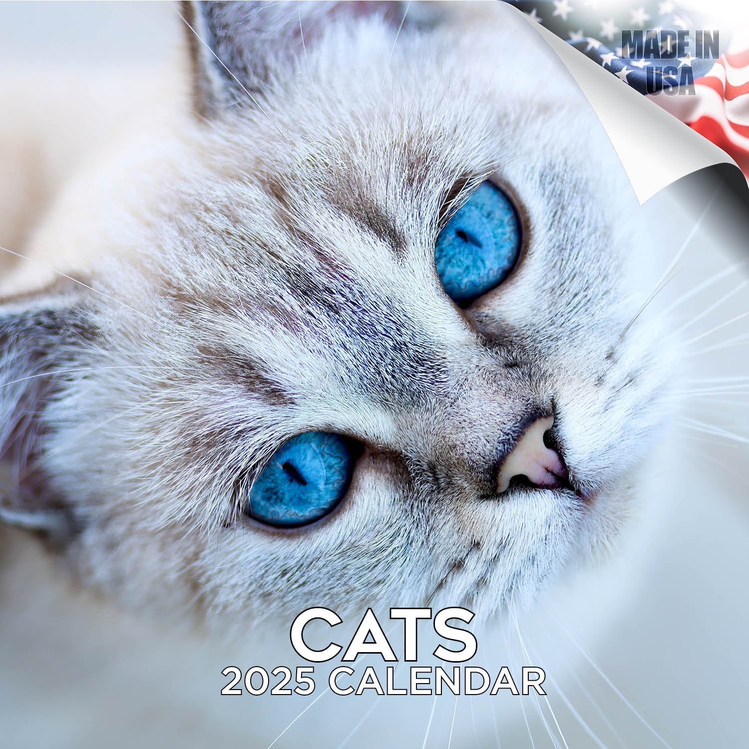 2024 2025 Cats Calendar - Cute Animal Monthly Wall Calendar - 12 x 24 ...