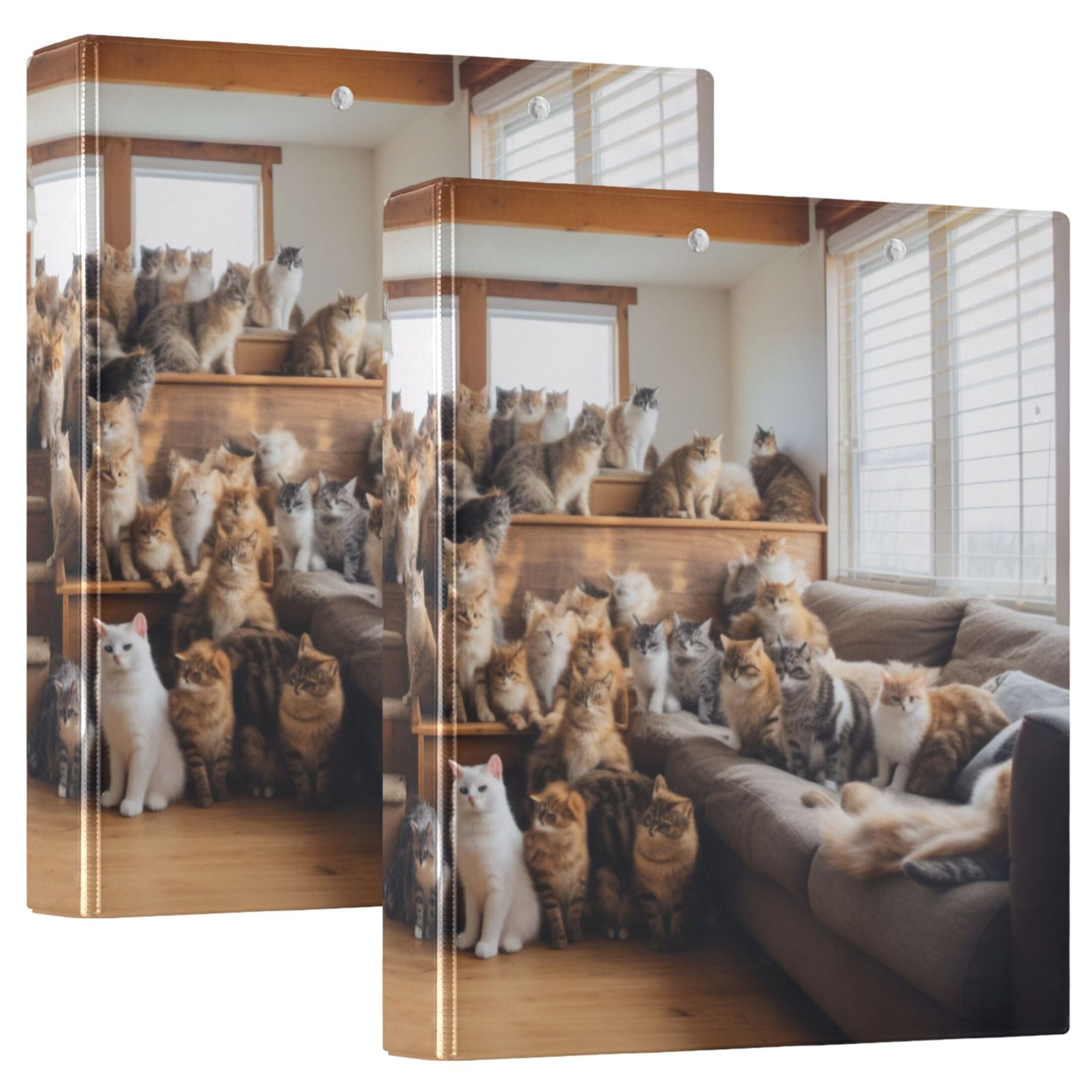 Cats Sofa Floor Window 3 Ring Binders 1.5 inch Hardcover File Folders ...