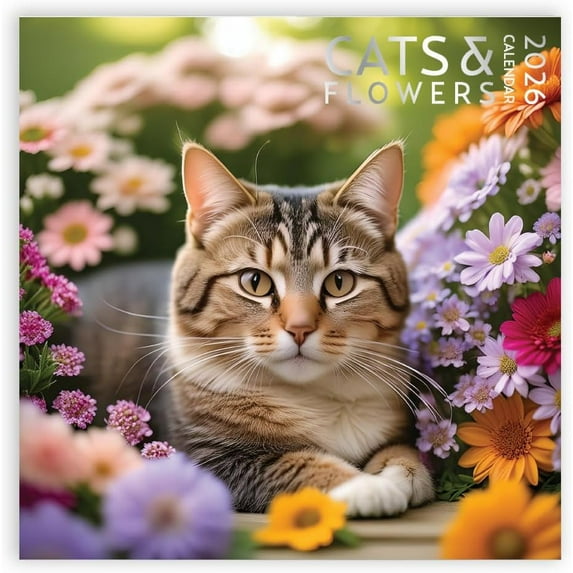 Cats and Flowers Large Wall Calendar | 12 x 12 Inches | 2026 Wall ...