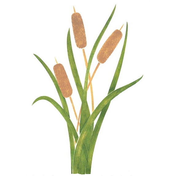 Cattails Wall Stencil -E163 by Designer Stencils - Walmart.com