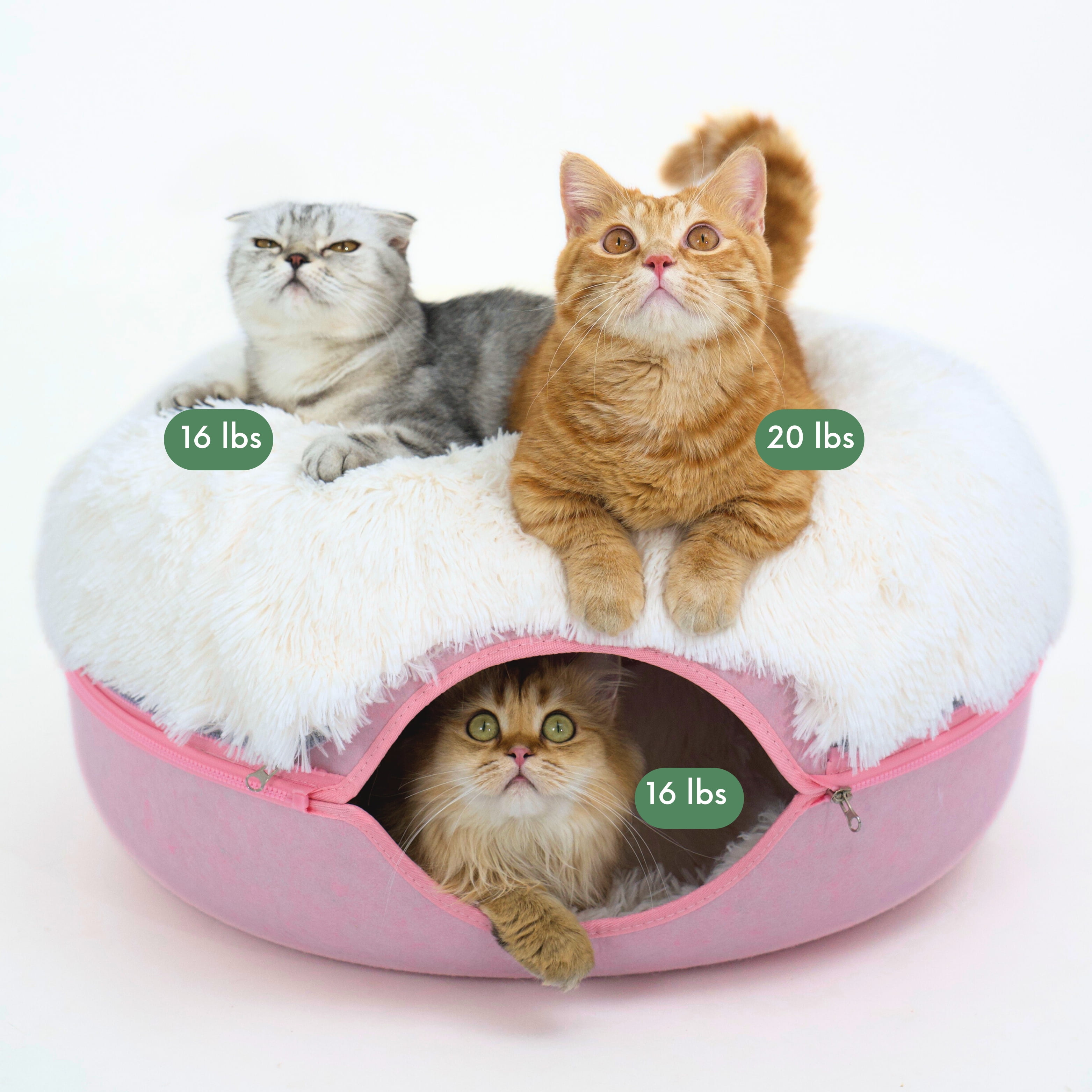 Cattasaurus Calming Donut Cat Cave for Multiple & Large Cats Up to 30 ...
